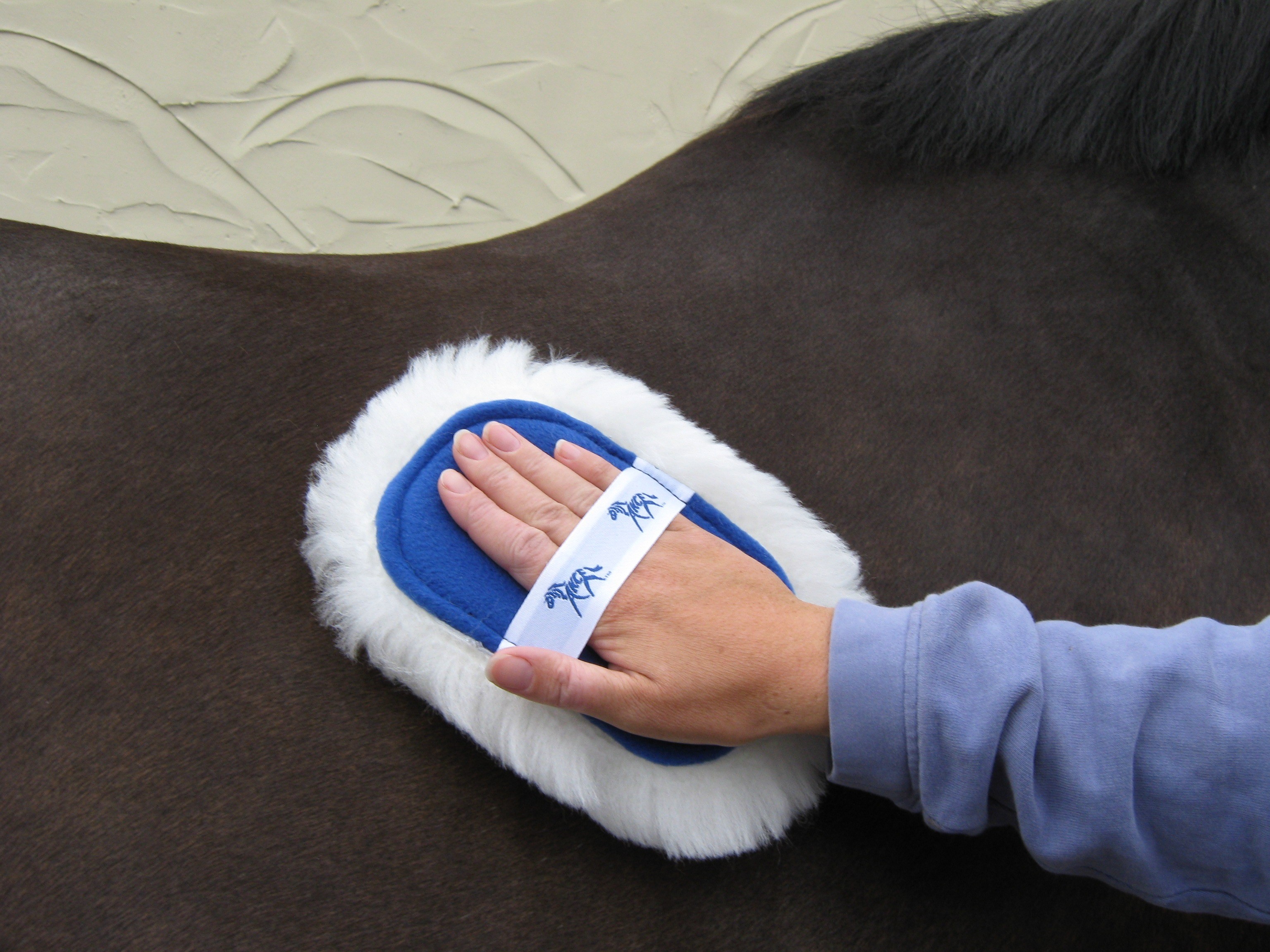 BALANCE Saddling - Horse & Rider Care